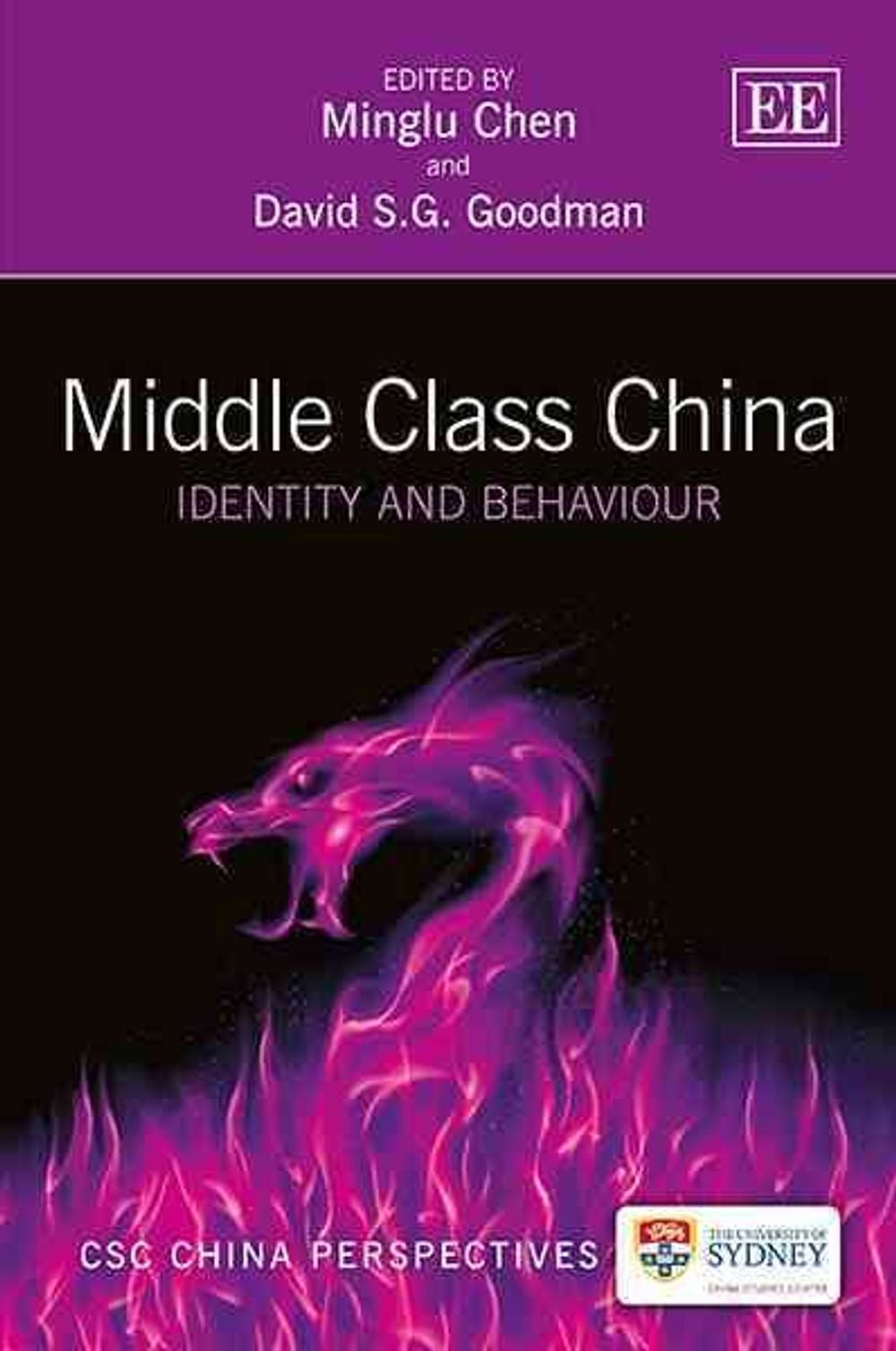 Middle Class China by Minglu Chen, Hardcover, 9781781005705 | Buy ...