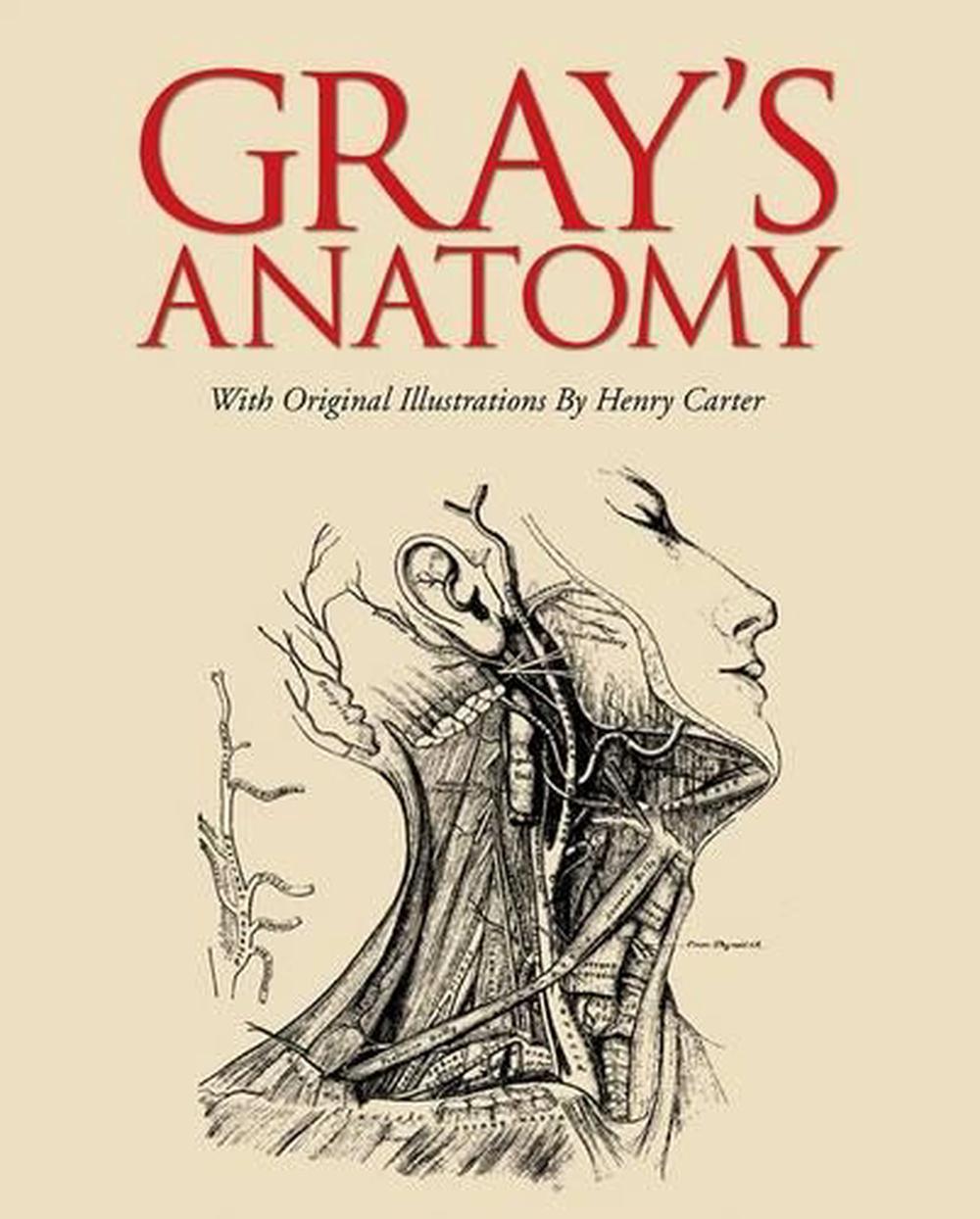 Gray s Anatomy By Henry Gray Hardcover 9781782124269 Buy Online At