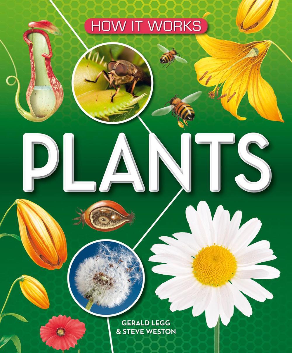 How It Works: Plants by Gerald Legg, Hardcover, 9781782700074 | Buy online at The Nile
