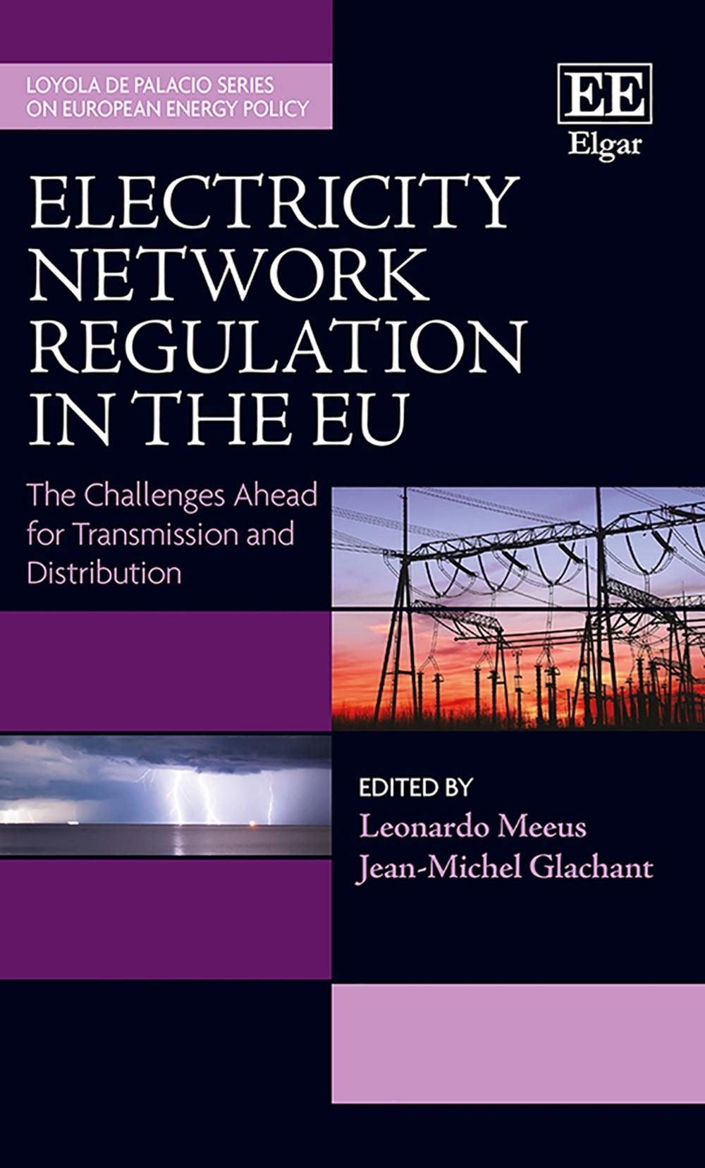 Electricity Network Regulation in the EU by Leonardo Meeus, Hardcover ...