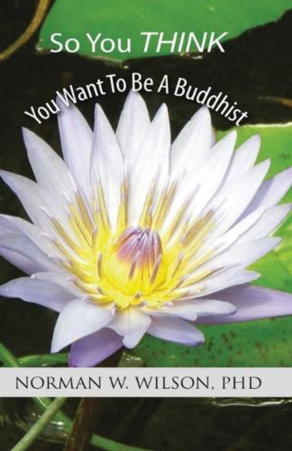 So You Think You Want To Be A Buddhist by Norman W. Wilson, Paperback ...