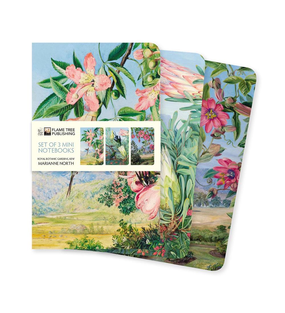 Flame Tree Studio Kew Gardens' Marianne North Set of 3 Mini Notebooks ...