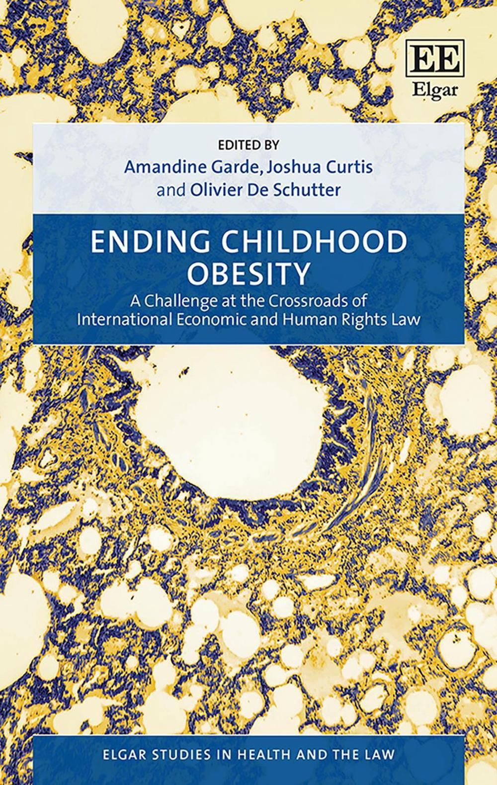 Ending Childhood Obesity by Amandine Garde, Hardcover, 9781788114011 ...