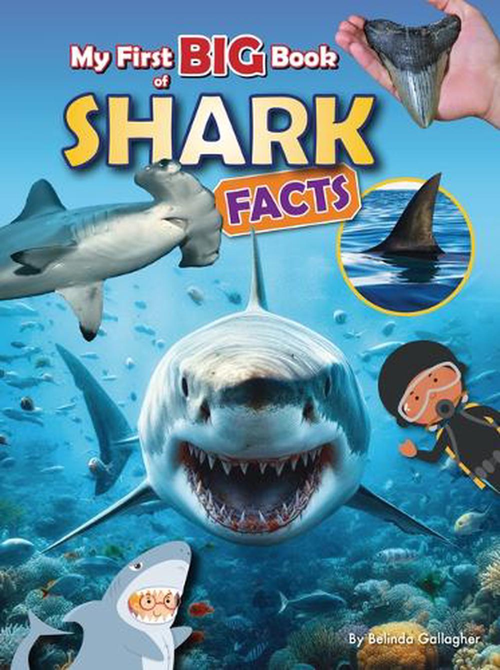 My First Big Book of Shark Facts by Belinda Gallagher, Hardcover ...