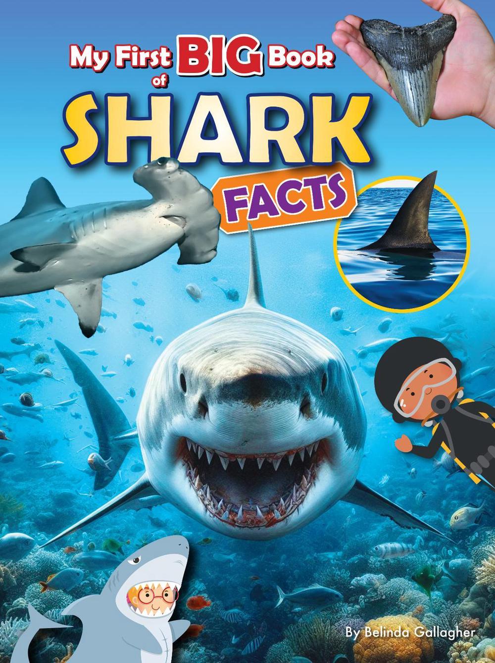My First BIG book of SHARK Facts by Belinda Gallagher, Paperback ...