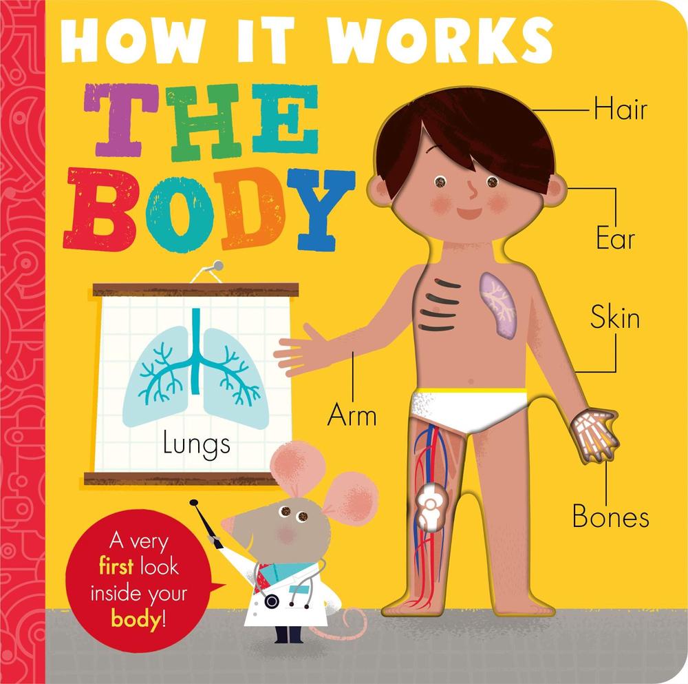 How it Works: The Body by Amelia Hepworth, Board Book, 9781788819879 ...
