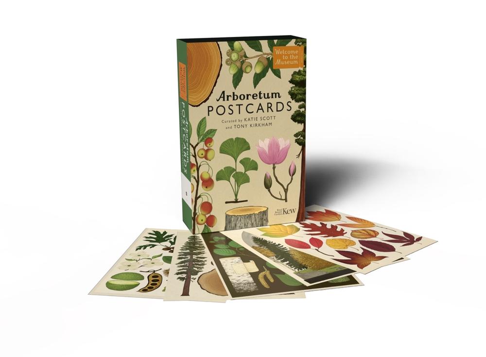 Arboretum Postcards by Royal Botanic Gardens Kew PLG, Cards ...