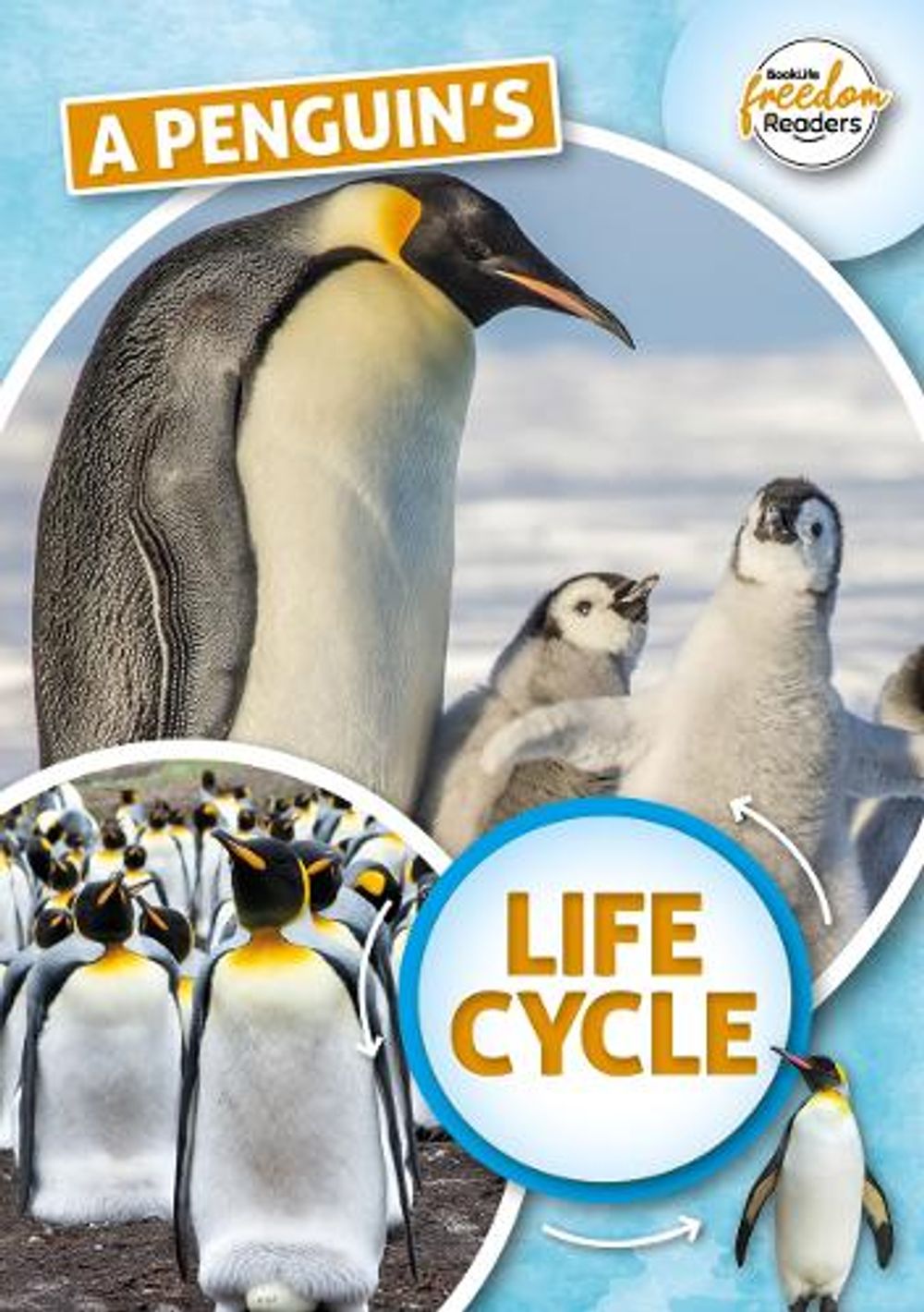 A Penguin's Life Cycle by Madeline Tyler, Paperback, 9781801551359 ...