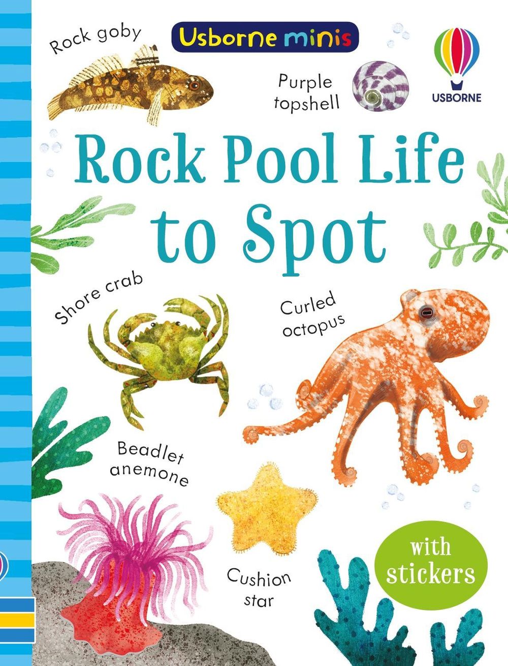 Rock Pool Life to Spot by Simon Tudhope, Paperback, 9781803704753 | Buy ...
