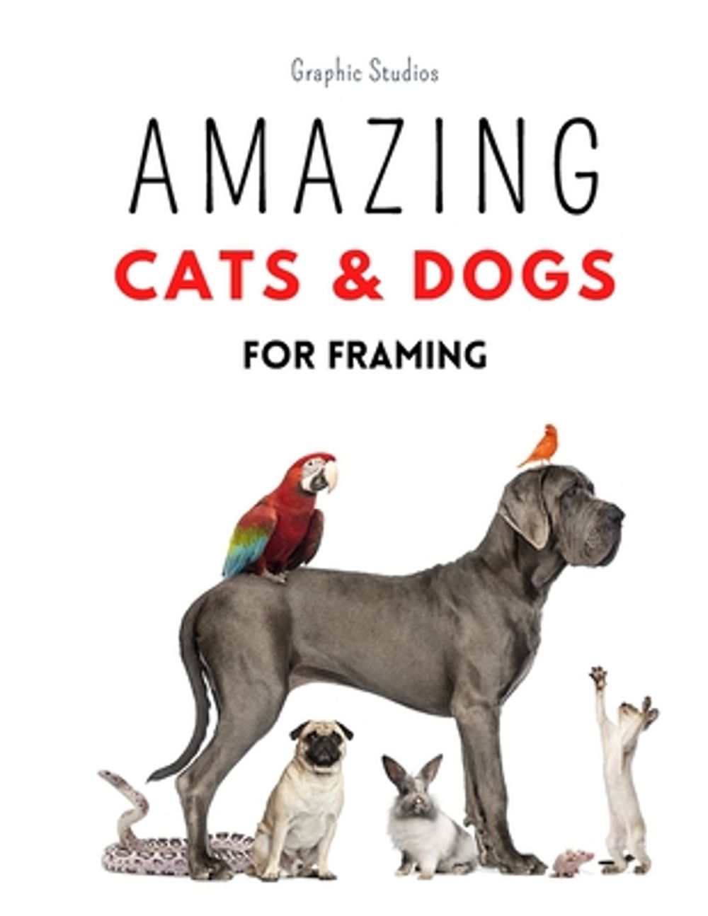 Amazing Cats and Dogs for Framing by Graphic Studios, Paperback ...