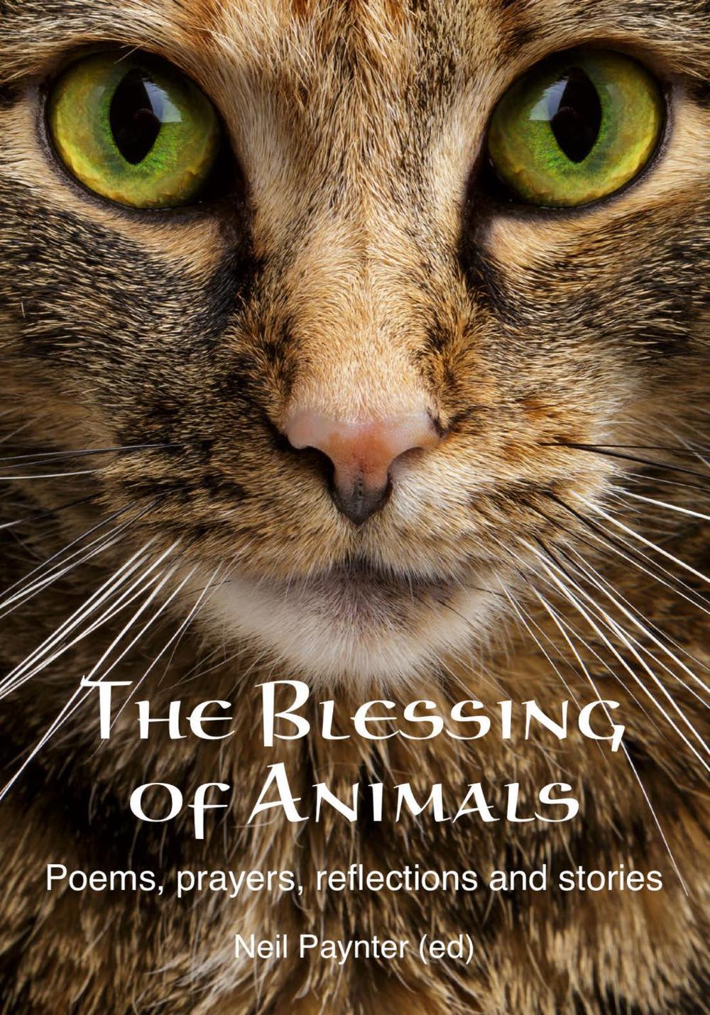 The Blessing of Animals by Neil Paynter, Paperback, 9781804324004 | Buy ...