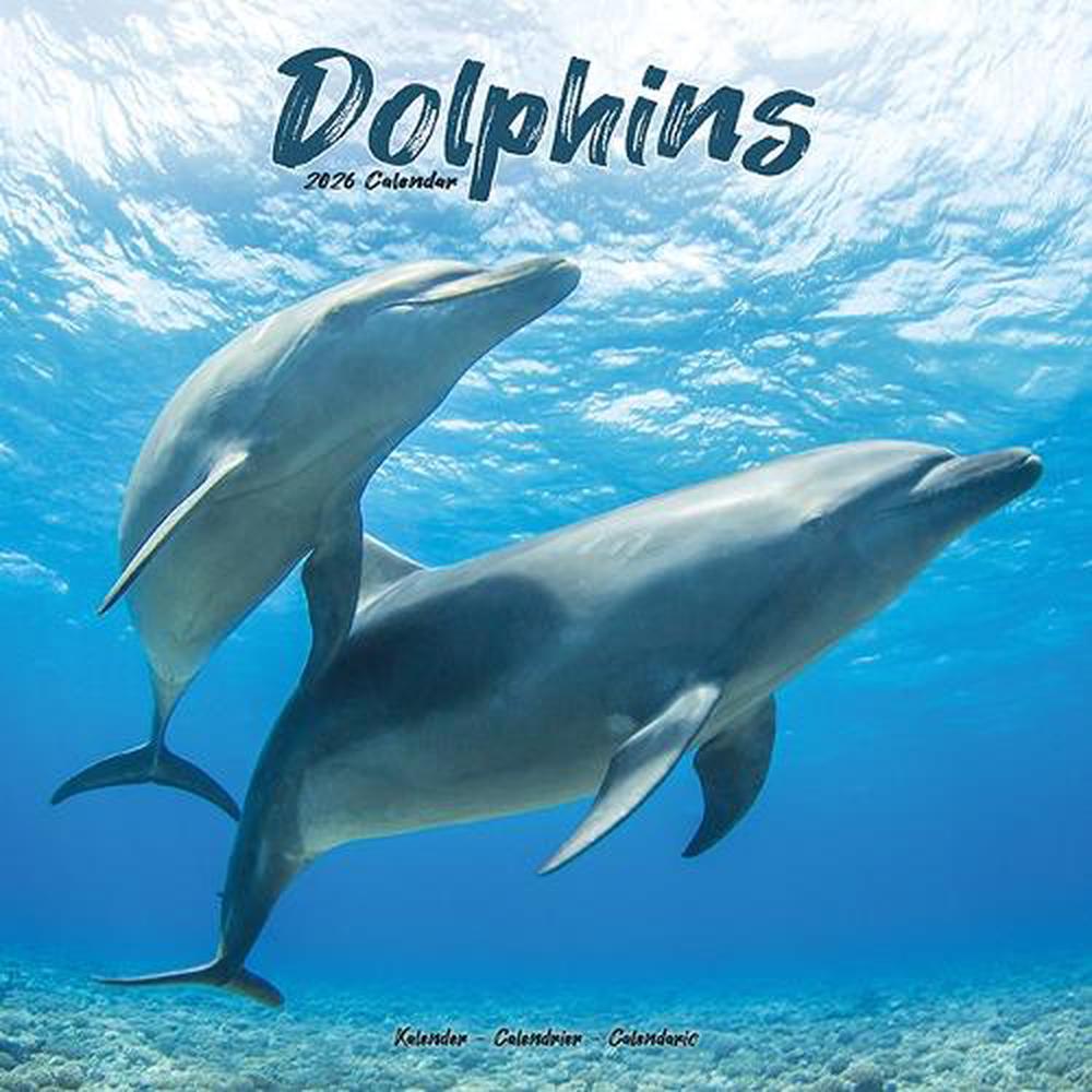 Dolphins Calendar 2026 Square Animal Wall Calendar - 16 Month ...