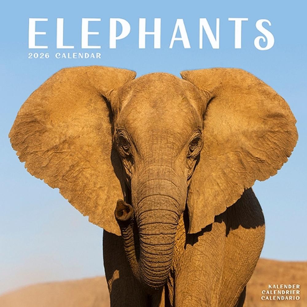 Elephants Calendar 2026 Square Wildlife Safari Wall Calendar - 16 Month ...