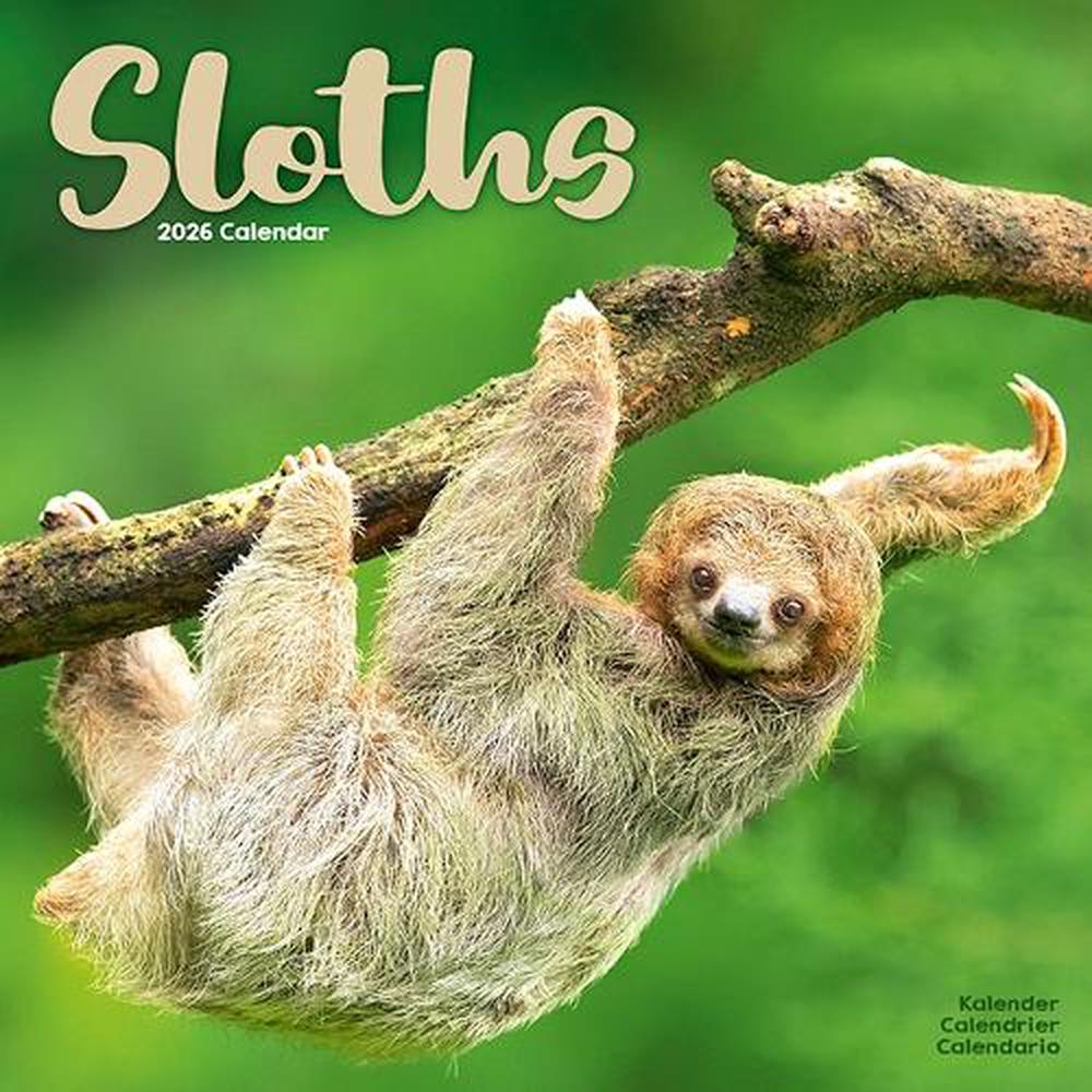 Sloths Calendar 2026 Square Animal Wall Calendar - 16 Month ...