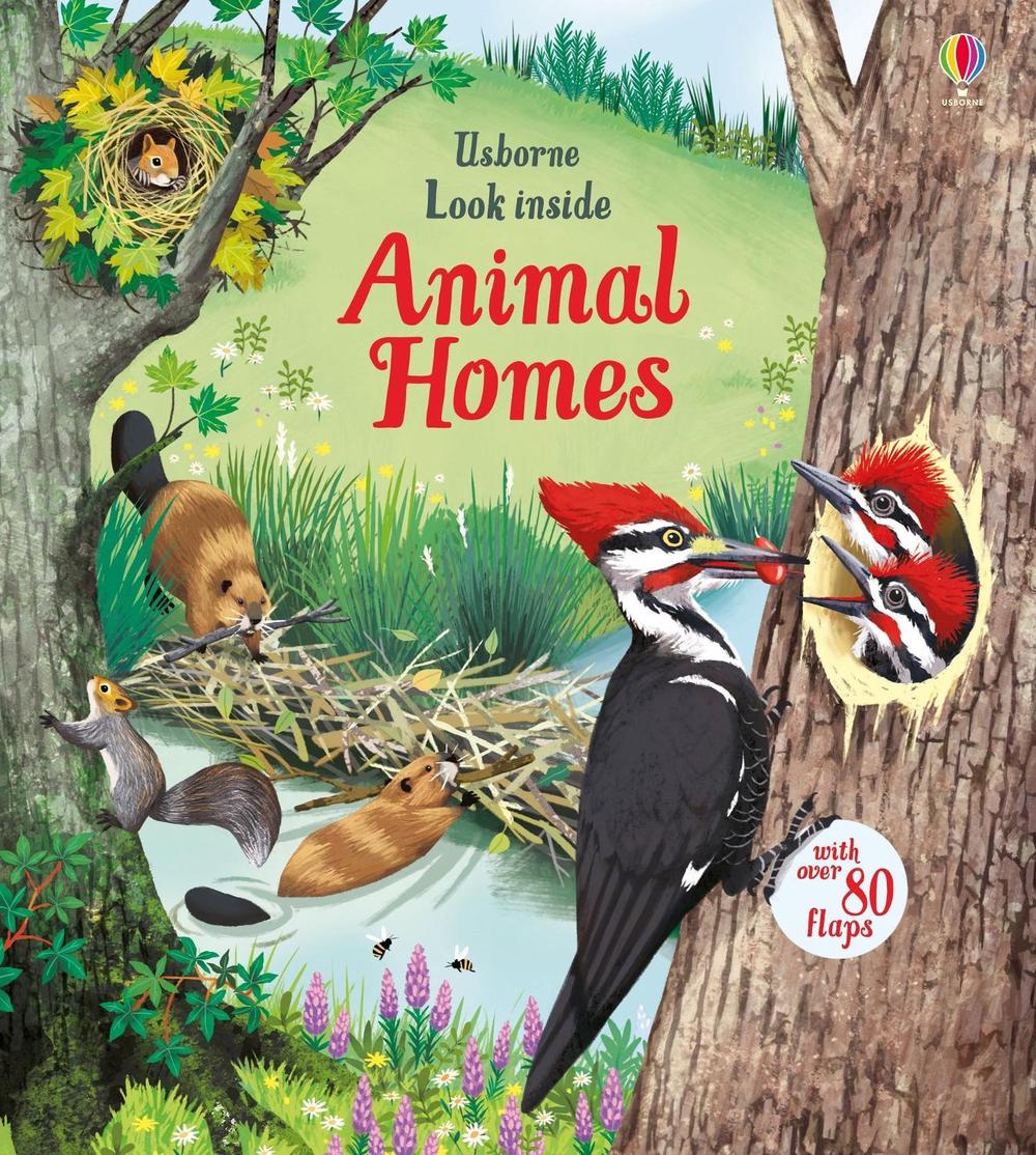 Look Inside Animal Homes by Emily Bone, Board Book, 9781805318538 | Buy ...