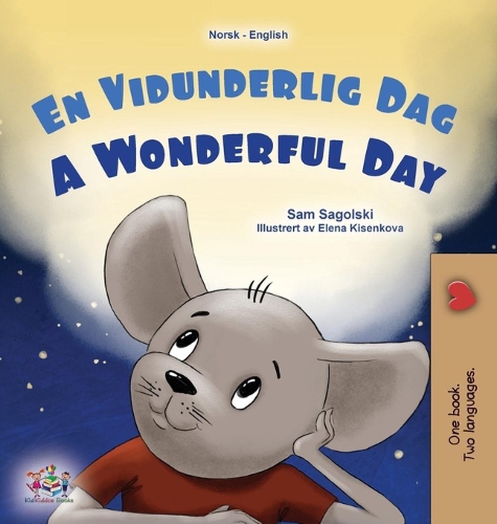 A Wonderful Day (Norwegian English Bilingual Children's Book) by Sam ...