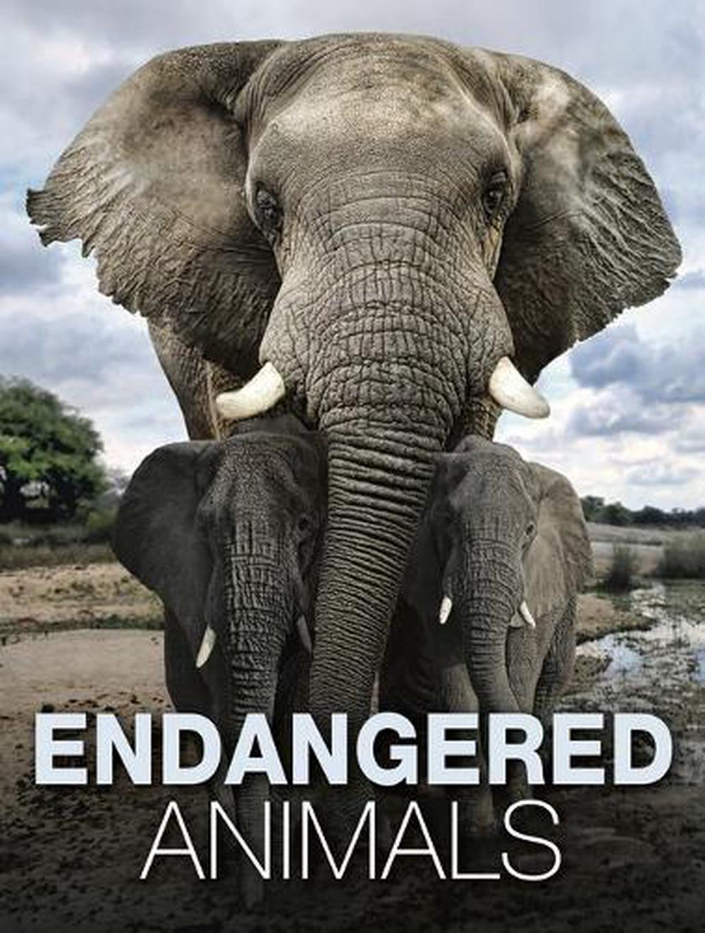 Endangered Animals by Tom Jackson, Hardcover, 9781838861612 | Buy ...