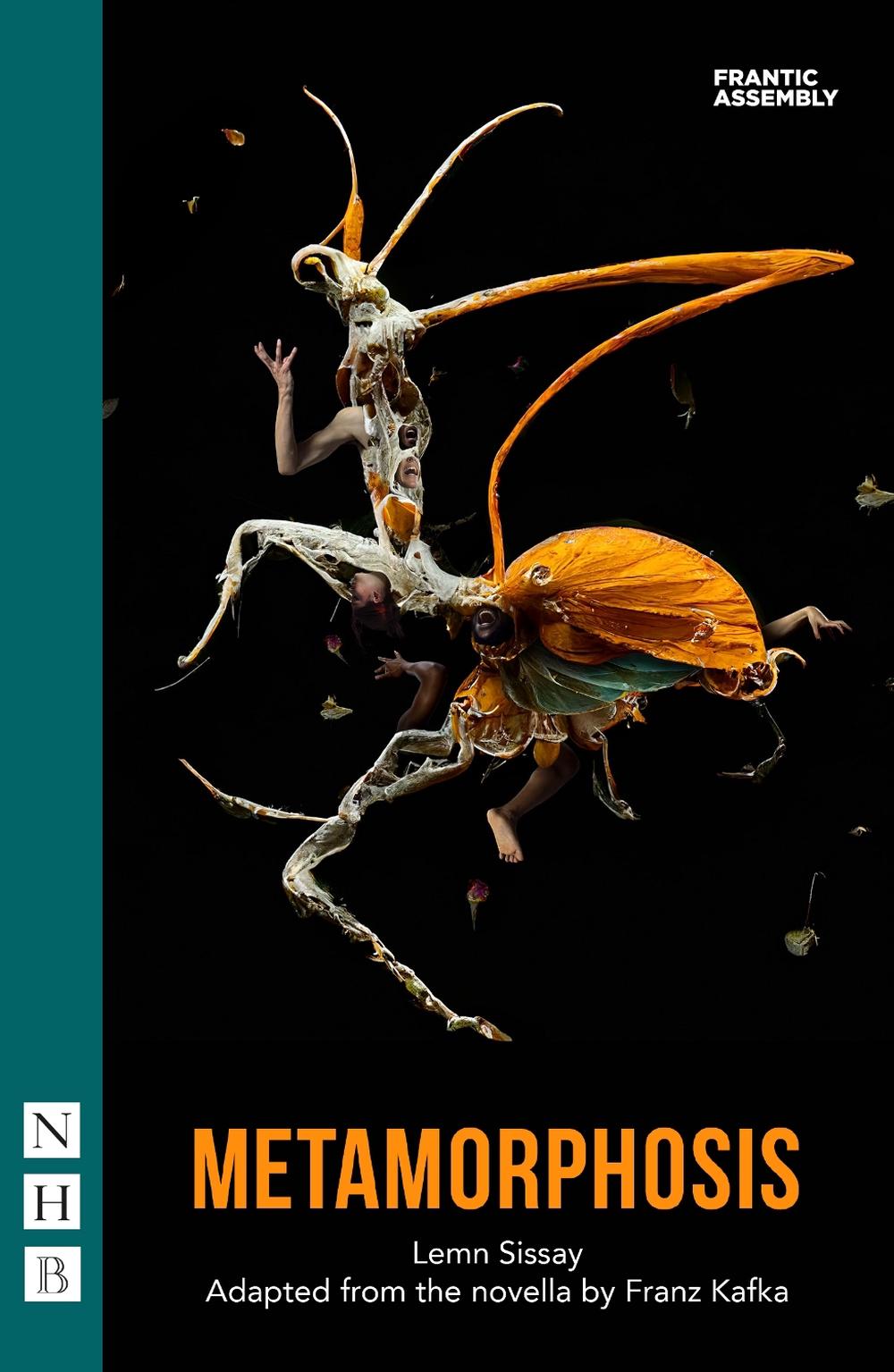 Metamorphosis by Franz Kafka, Paperback, 9781839042874 | Buy online at ...