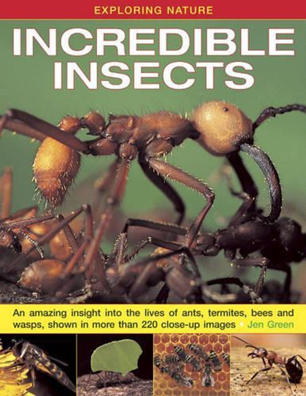 Exploring Nature: Incredible Insects: An Amazing Insight into the Lives ...