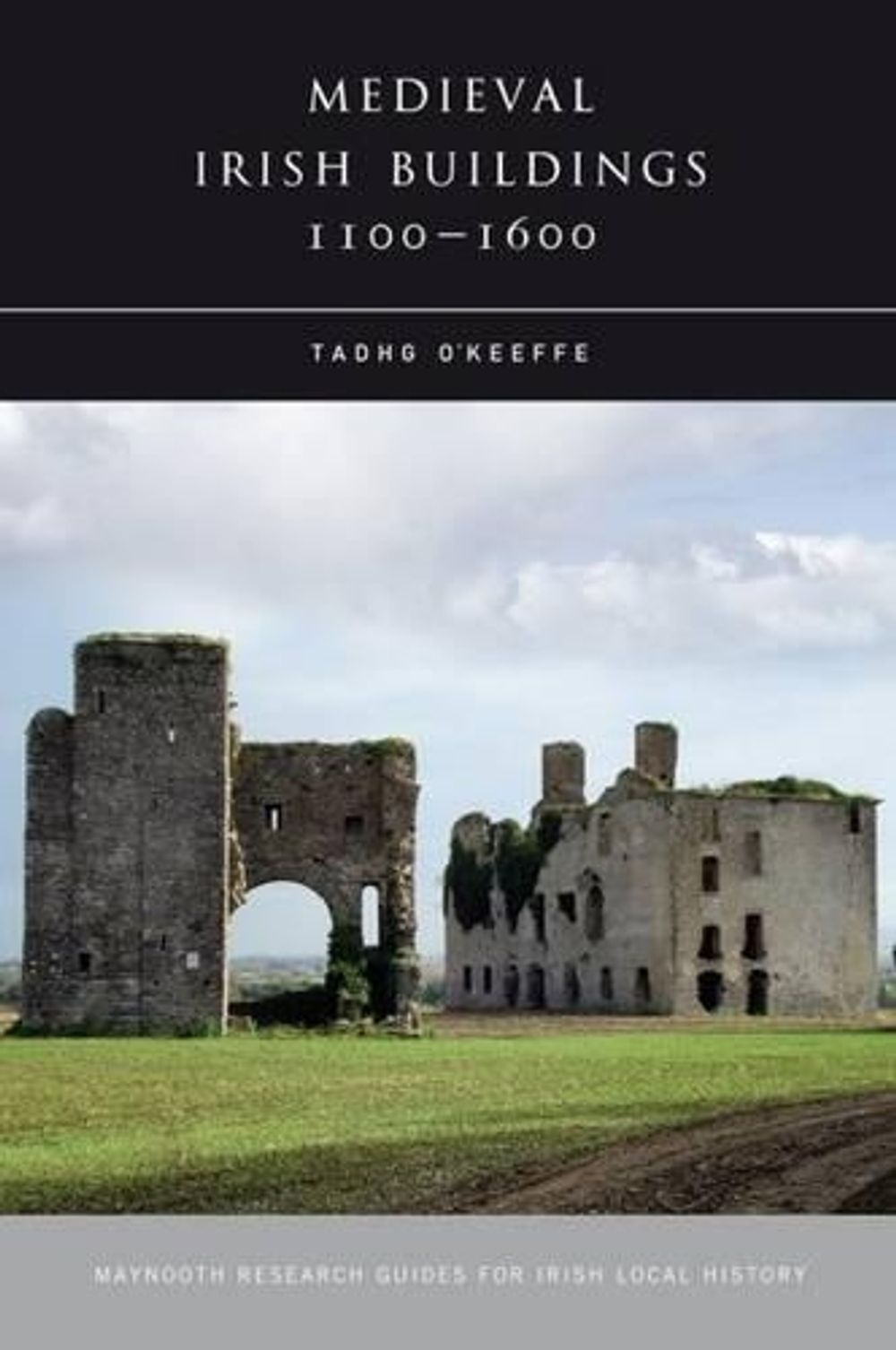 Medieval Irish Buildings, 1100 - 1600 by Tadhg O'Keeffe, Paperback ...