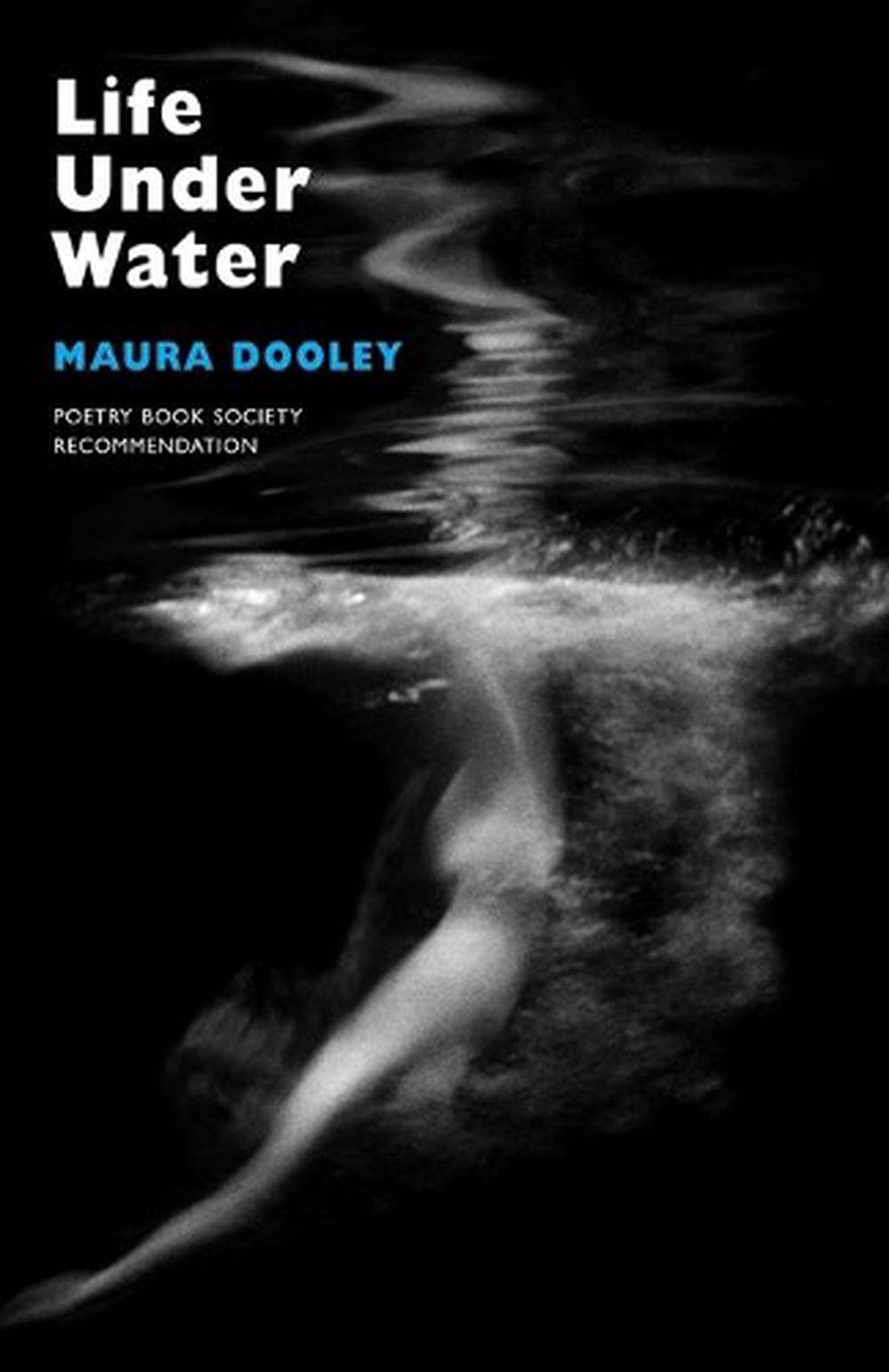 Life Under Water by Maura Dooley, Paperback, 9781852248178 | Buy online ...