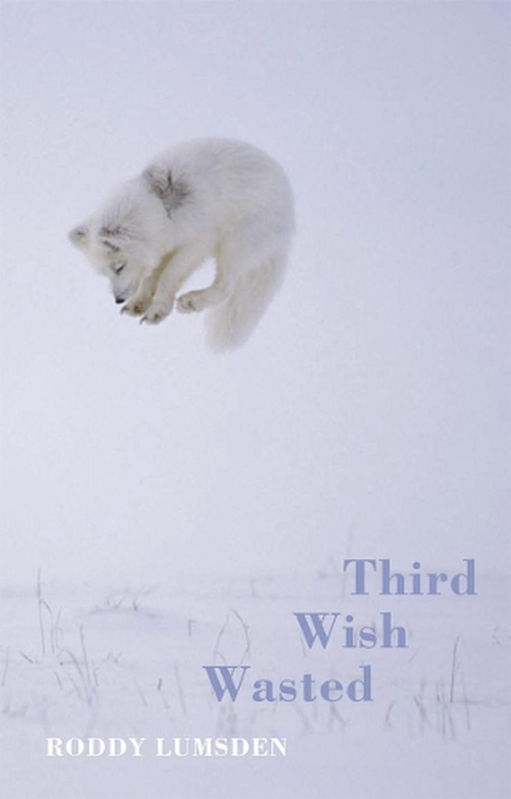 Third Wish Wasted by Roddy Lumsden, Paperback, 9781852248284 | Buy ...