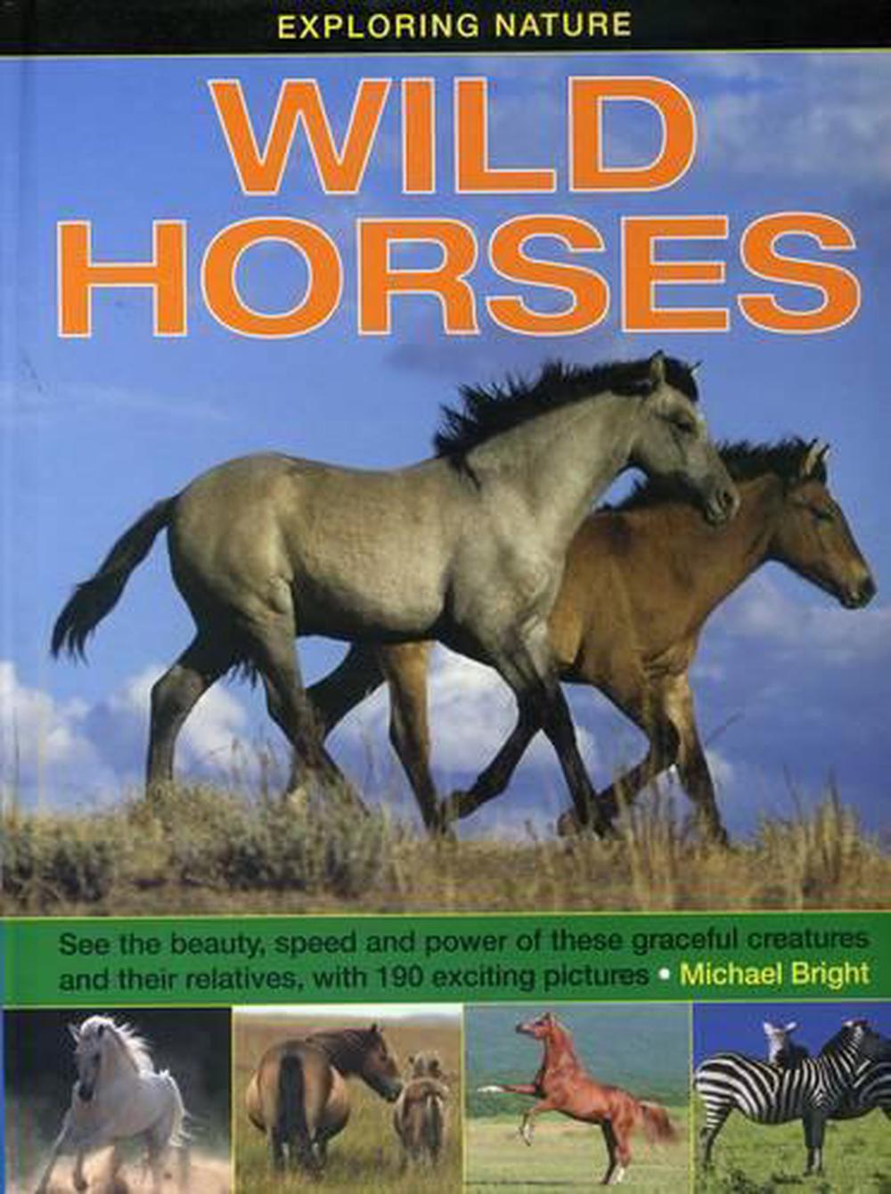 Exploring Nature: Wild Horses by Bright Michael, Hardcover ...