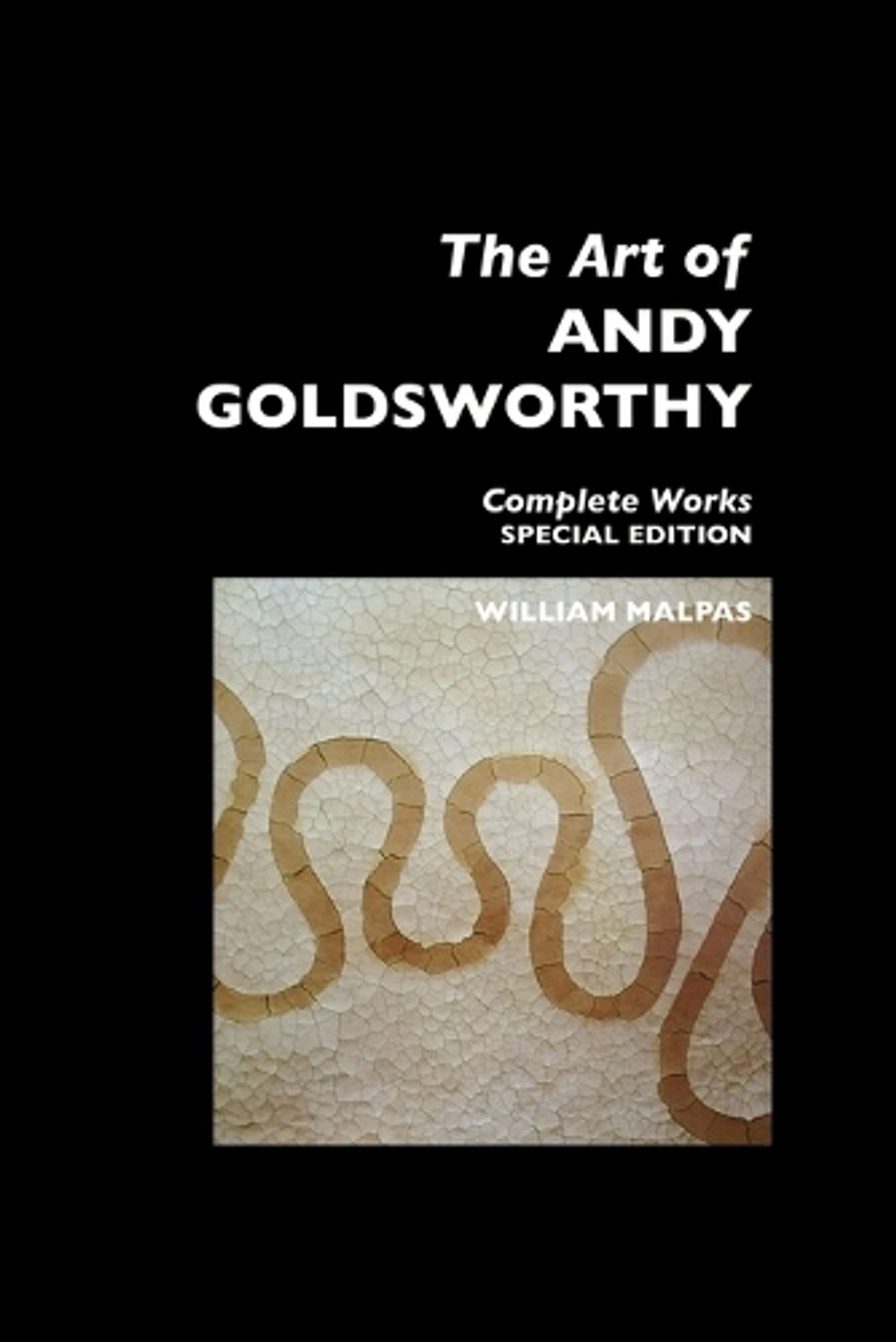 The Art of Andy Goldsworthy by William Malpas, Paperback, 9781861710598 ...