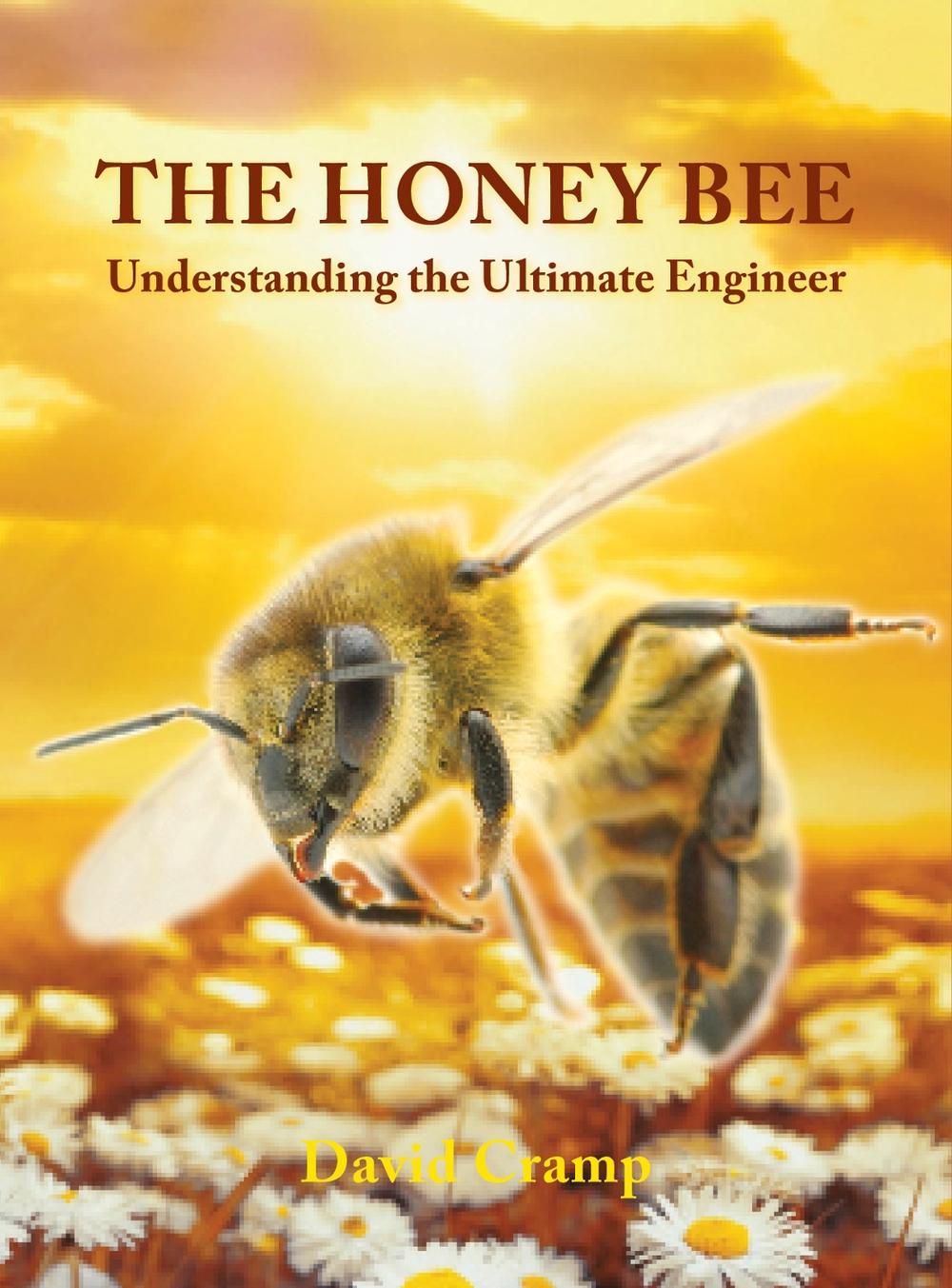 The Honey Bee by David Cramp, Paperback, 9781869665203 | Buy online at ...