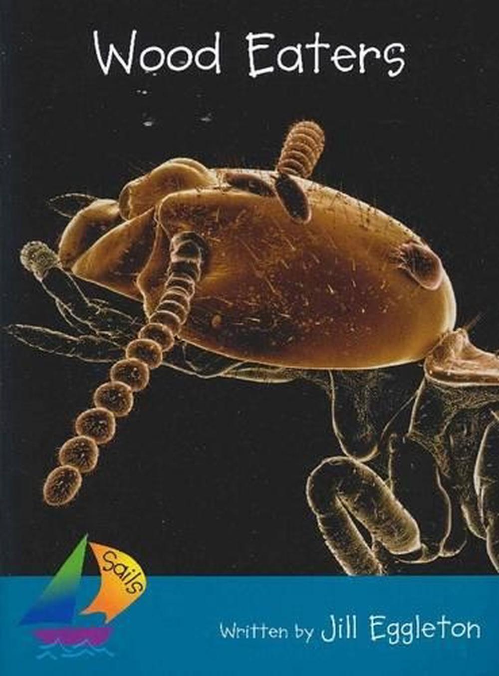 Sails Fluency Turquoise by Jill Eggleton, Paperback, 9781869706166 ...