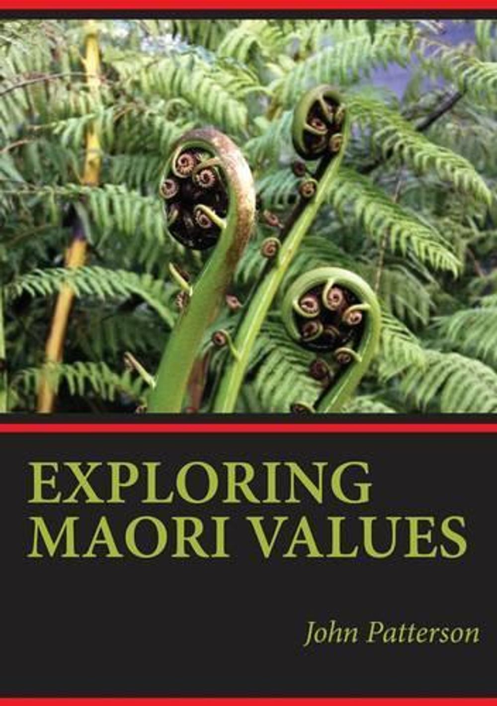 Exploring Maori Values by John Patterson, Paperback, 9781877399411 ...