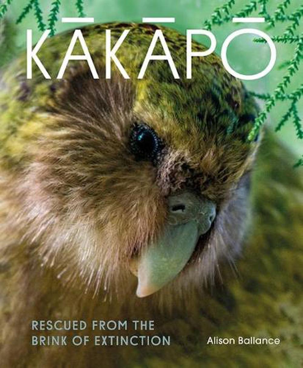 Kakapo Memes