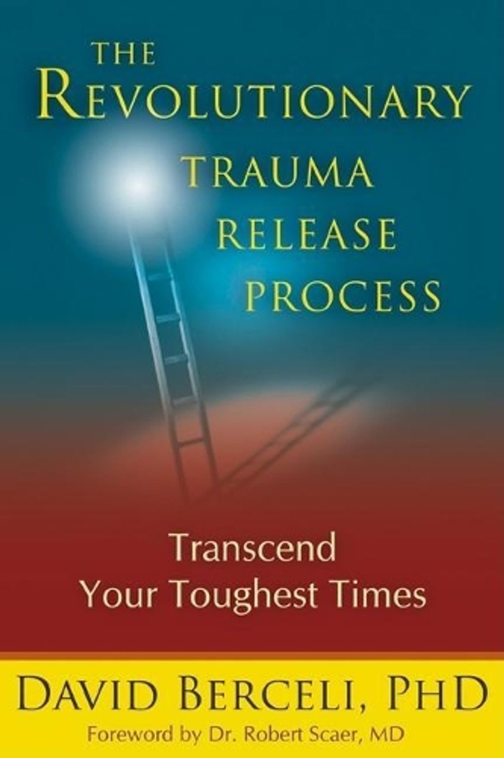 The Revolutionary Trauma Release Process by David Berceli, Paperback ...