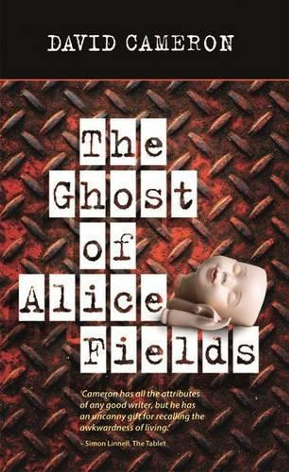 The Ghost of Alice Fields by David Cameron, Paperback, 9781906075811 ...
