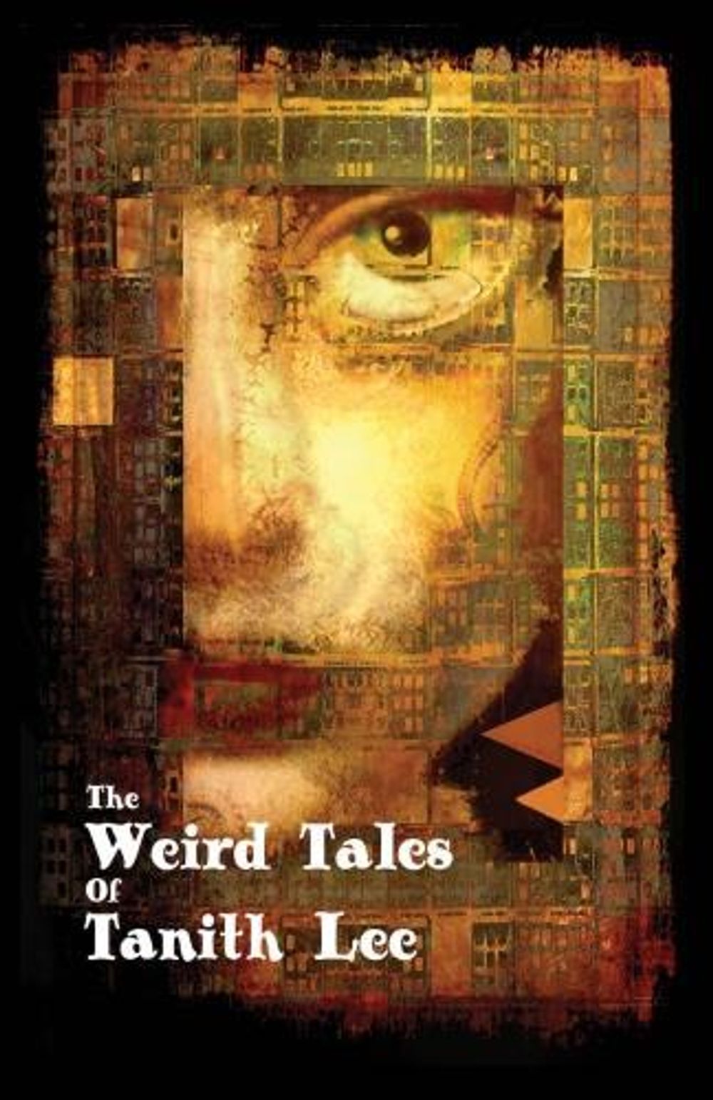 The Weird Tales of Tanith Lee by Tanith Lee, Paperback, 9781907737794 ...