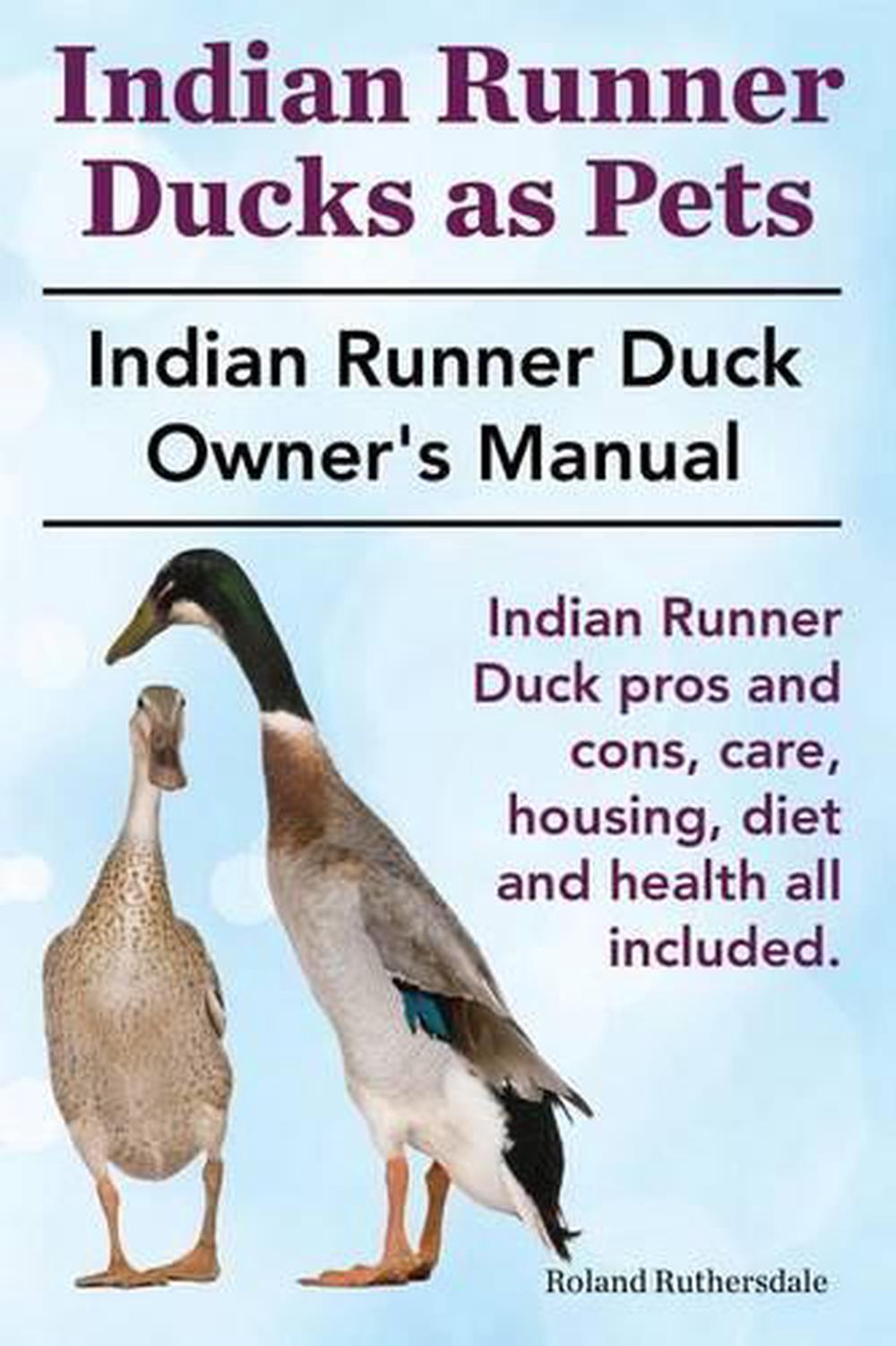 Indian Runner Ducks as Pets. Indian Runner Duck pros and cons, care ...