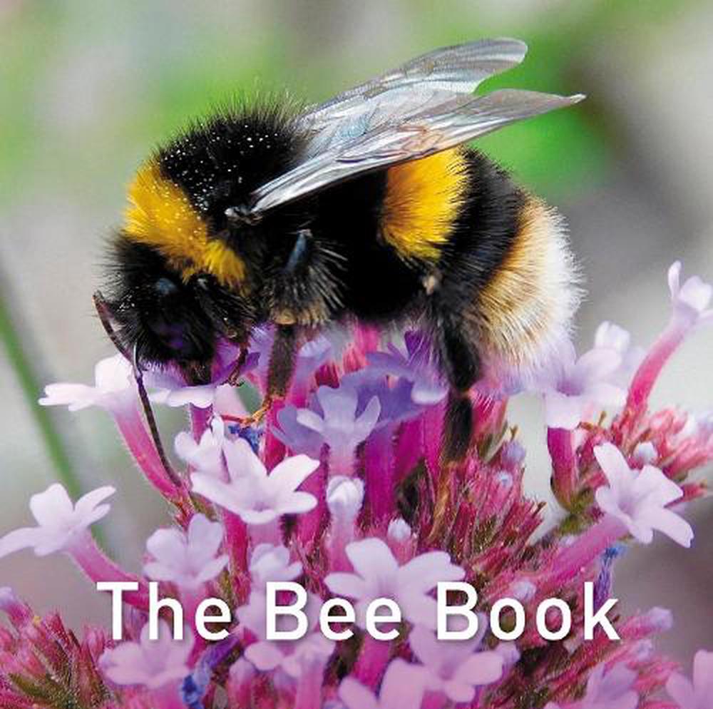 Nature Book Series: The Bee Book by Jo Byrne, Hardcover, 9781910862315 ...