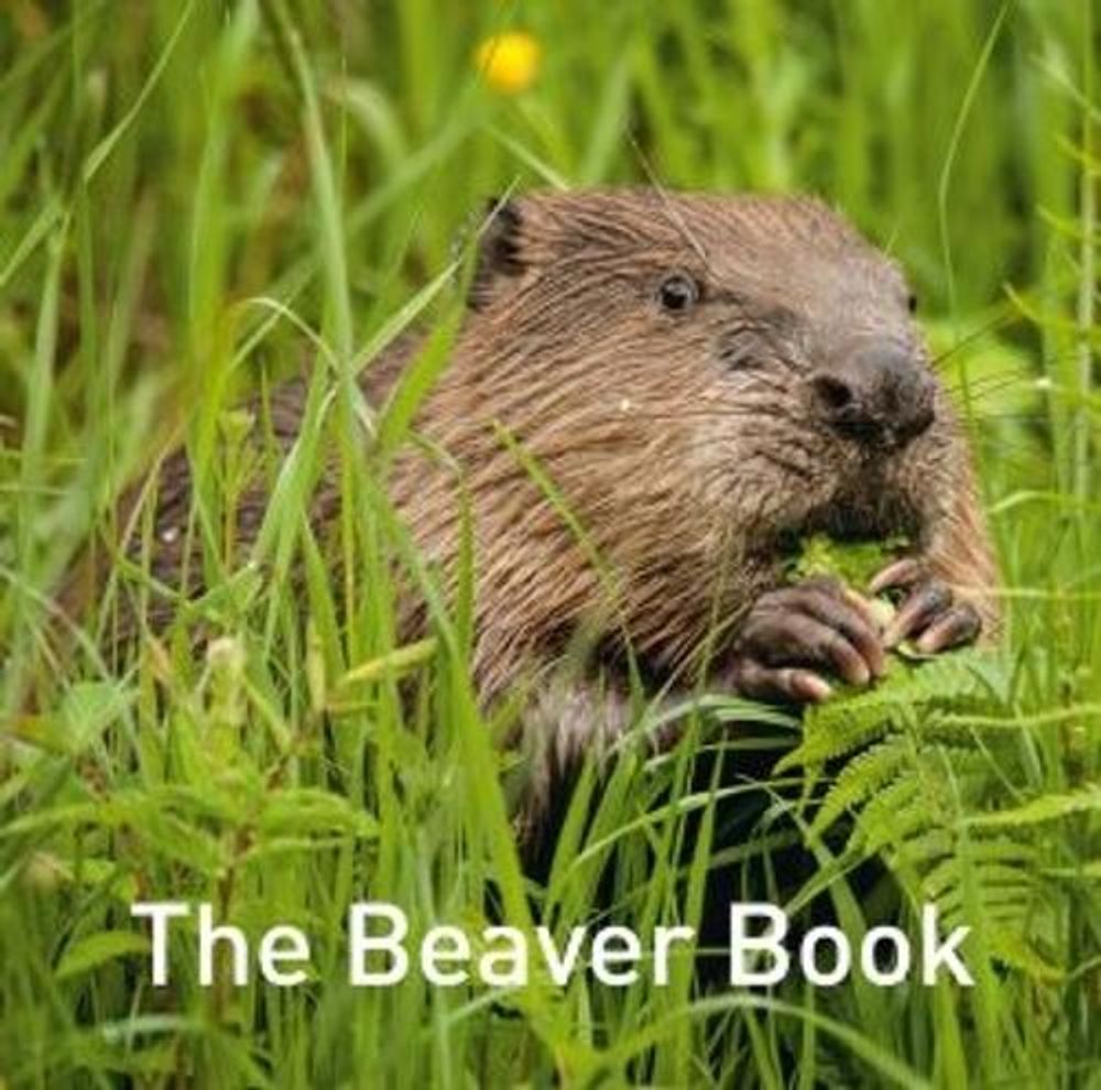 Nature Book Series: The Beaver Book by Hugh Warwick, Hardcover ...