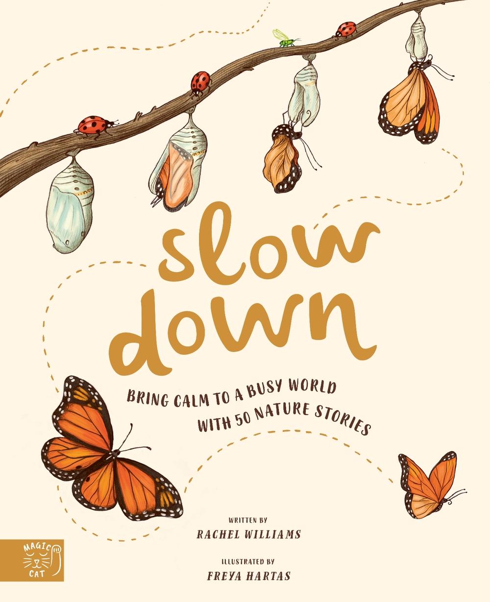 Slow Down by Rachel Williams, Hardcover, 9781916180512 | Buy online at ...