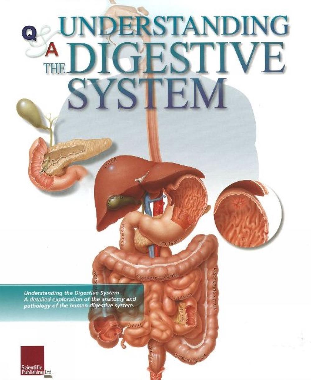 Understanding the Digestive System Flip Chart by Scientific Publishing ...