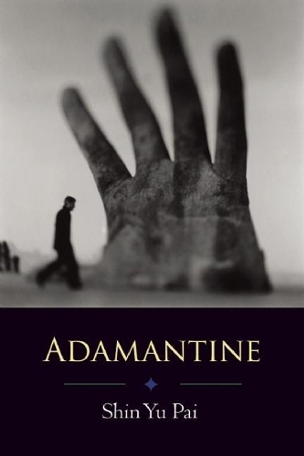 Adamantine by Shin Yu Pai, Paperback, 9781935210184 | Buy online at The ...