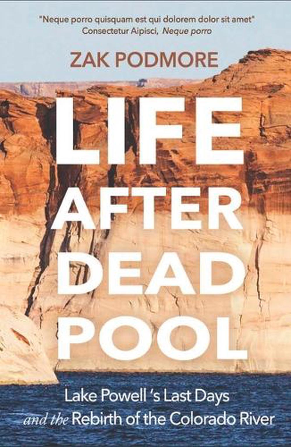 Life After Dead Pool by Zak Podmore, Paperback, 9781948814966 | Buy ...
