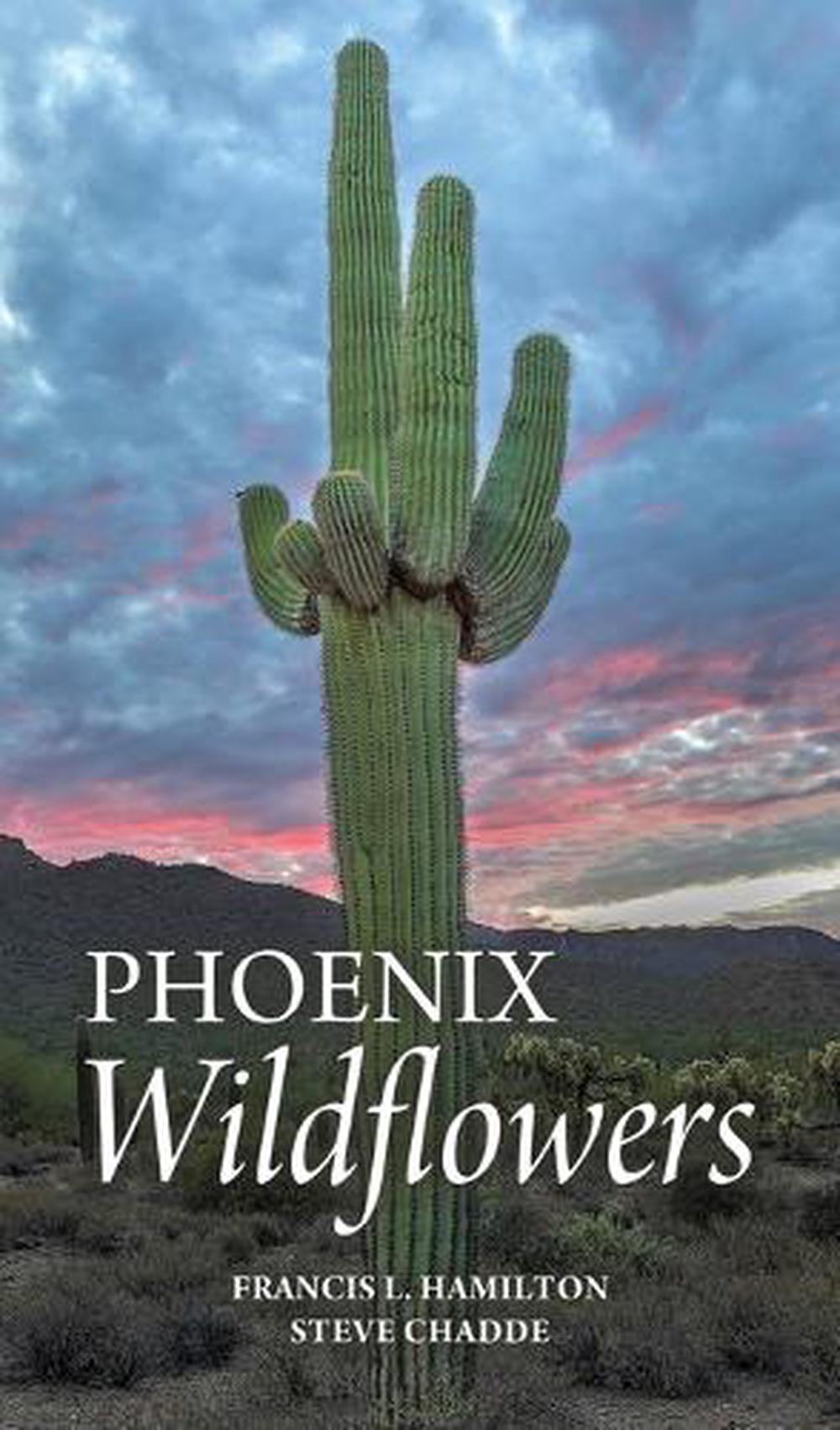 Phoenix Wildflowers by Francis L. Hamilton, Paperback, 9781951682910 ...