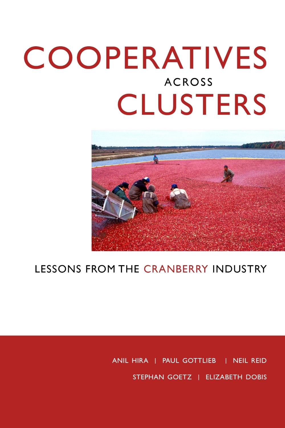 Cooperatives Across Clusters by Anil Hira, Paperback, 9781962645010 ...