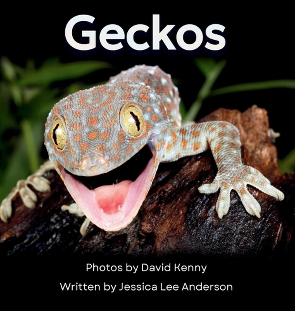 Geckos by David Kenny, Hardcover, 9781964078557 | Buy online at The Nile