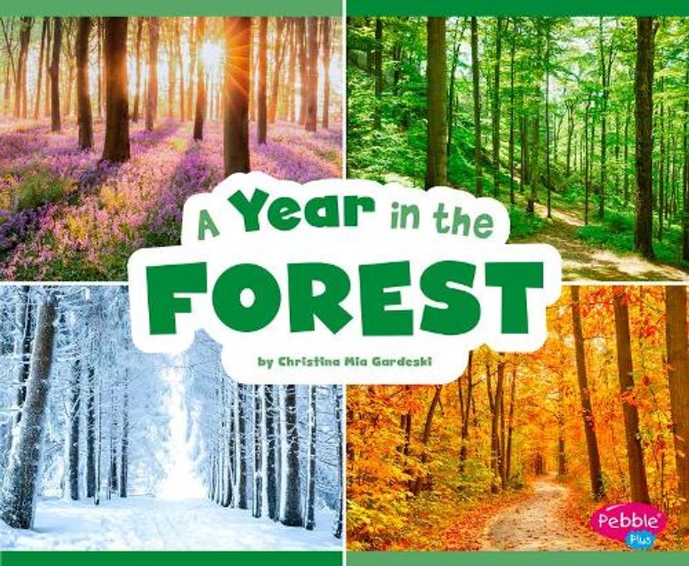 A Year in the Forest by Christina Mia Gardeski, Paperback ...