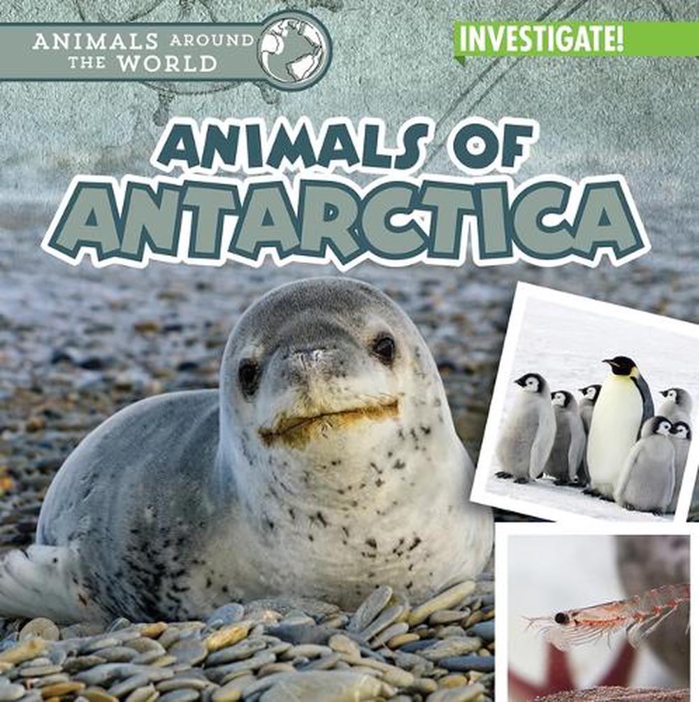 Animals of Antarctica by Natalie Humphrey, Hardcover, 9781978543065 ...