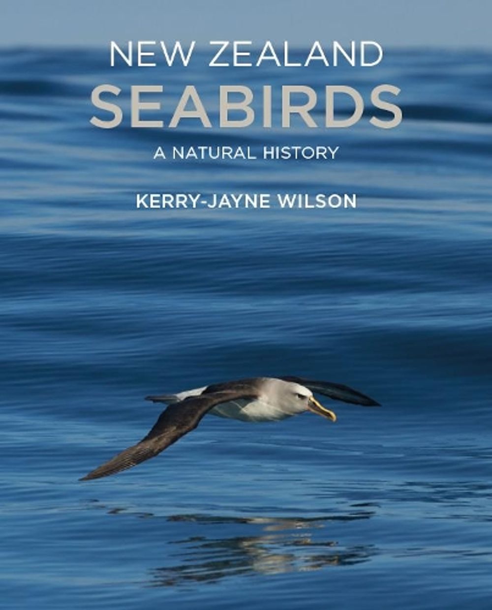 New Zealand Seabirds by Kerry-Jayne Wilson, Hardcover, 9781988550251 ...