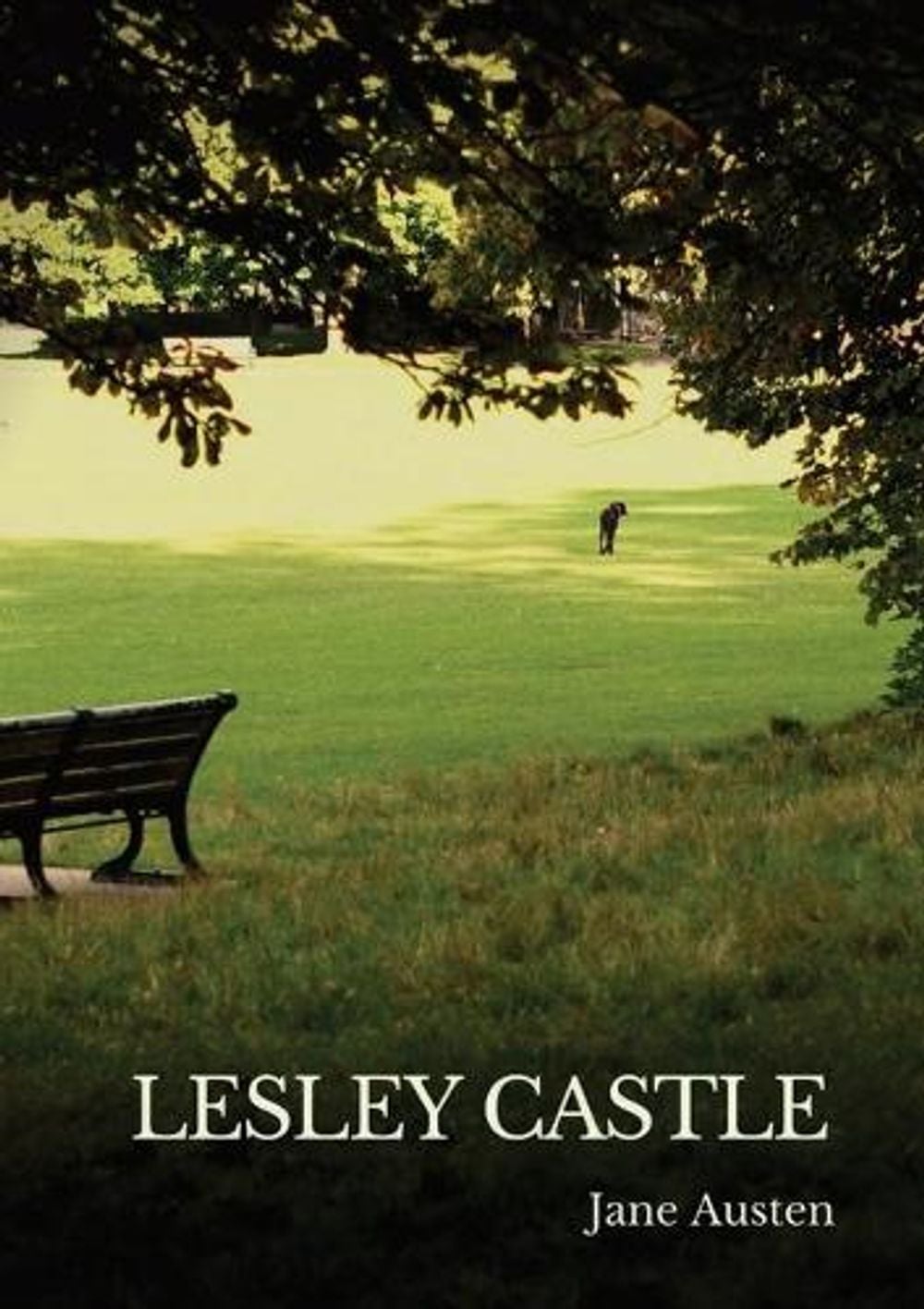 Lesley Castle by Jane Austen, Paperback, 9782382740583 | Buy online at ...