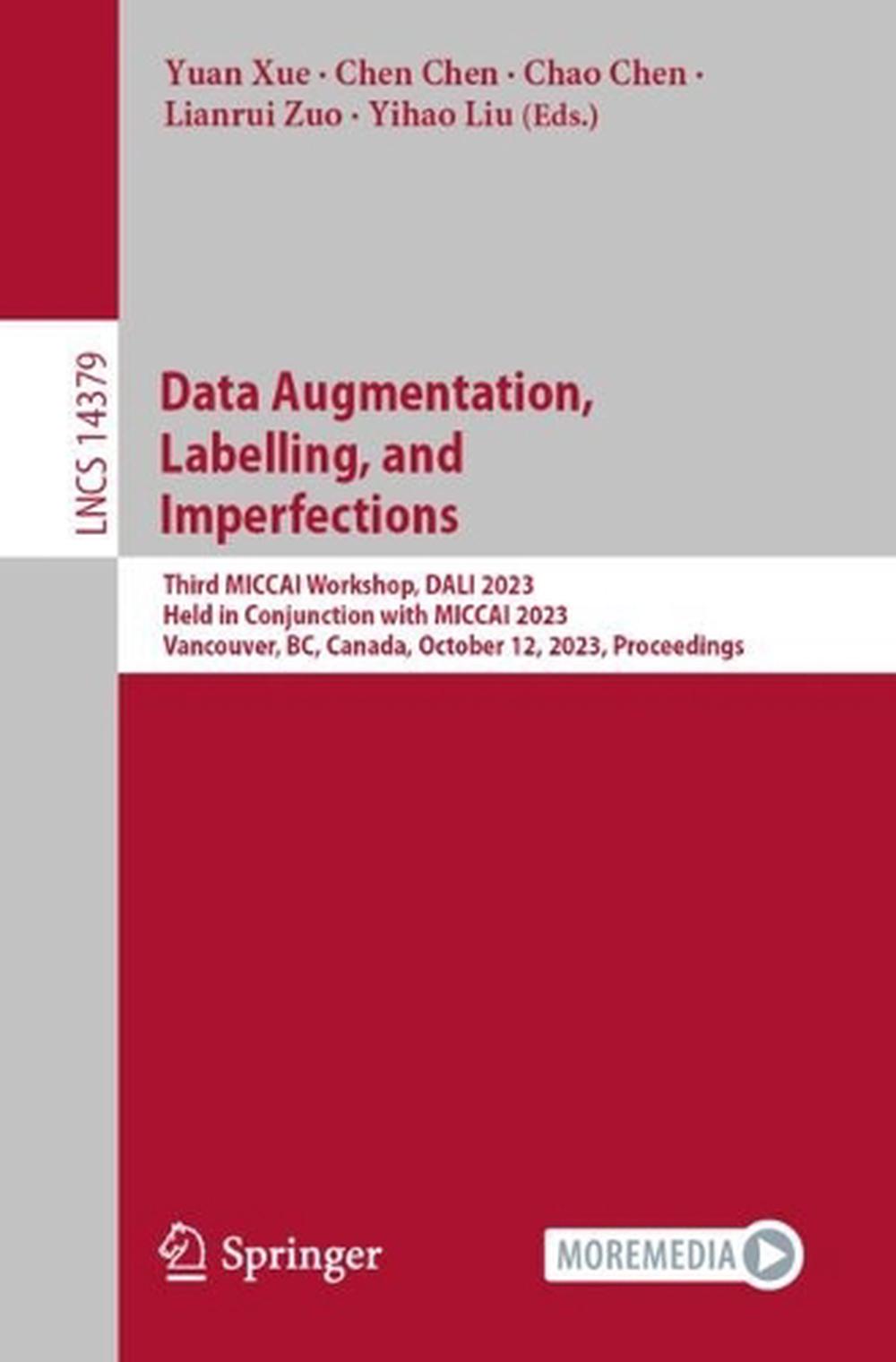 Data Augmentation, Labelling, and Imperfections by Yuan Xue, Paperback, 9783031581700 | Buy ...